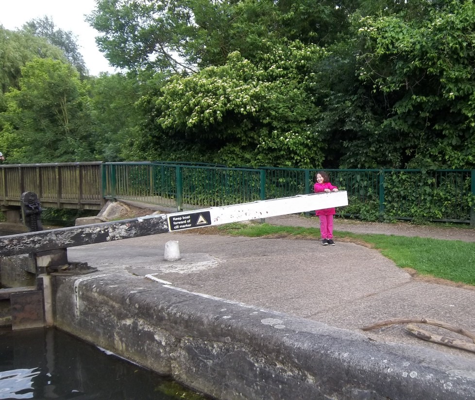 Pig Lane | Boatbird