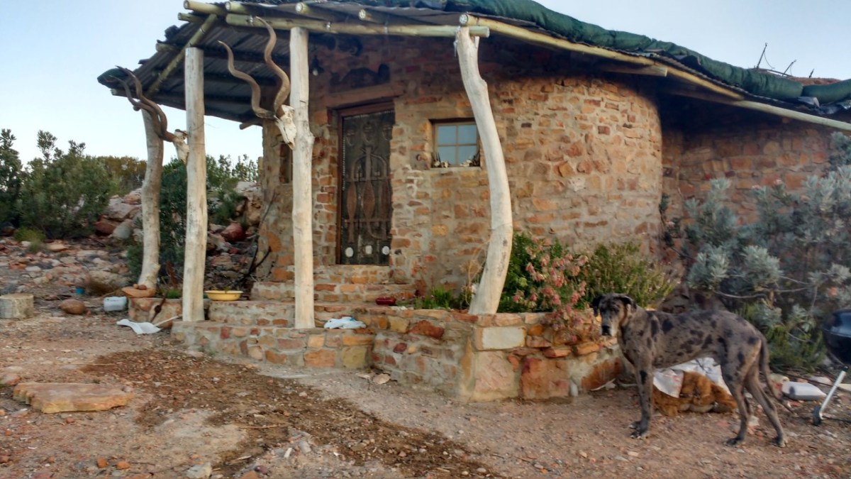 Bongo Bongo Land.. | Boatbird